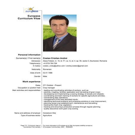 CV Costan Cristian Andrei English | PDF