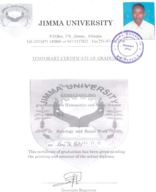 BSc Transcript2 | PDF