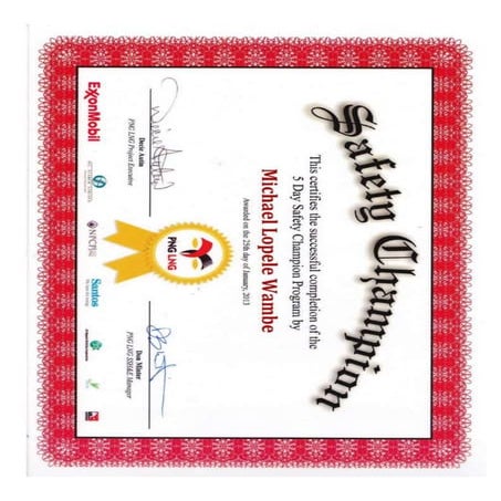 Safety Champion Certificate | PDF