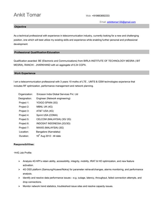 Resume Alok | PDF