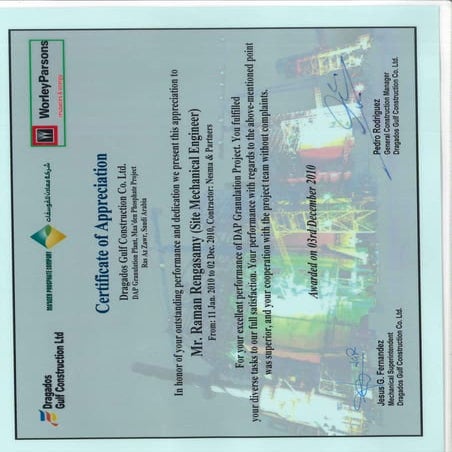 Dap Project Experience | PDF