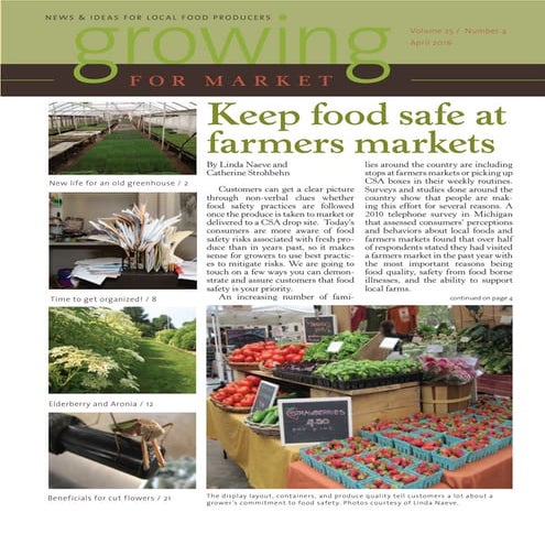 Garden market | PPTX