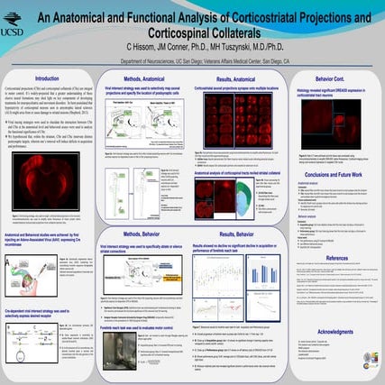 SACNAS poster | PPT