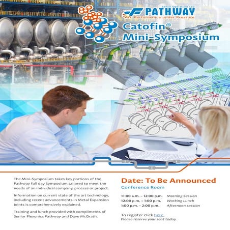 Catofin Mini Symposium Flyer | PDF