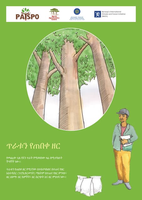 World agroforestry (icraf)