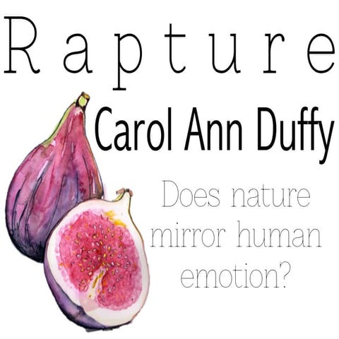 A2 English Literature - Carol Ann Duffy Rapture presentation 'Does ...