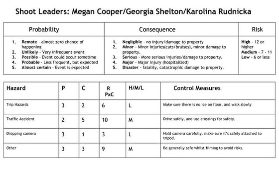 Risk assessment (astro turf) | PPT