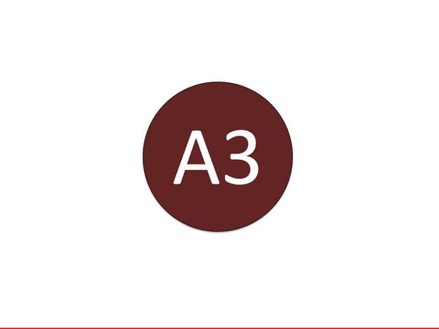 Toyota Business Practice - English.ppt