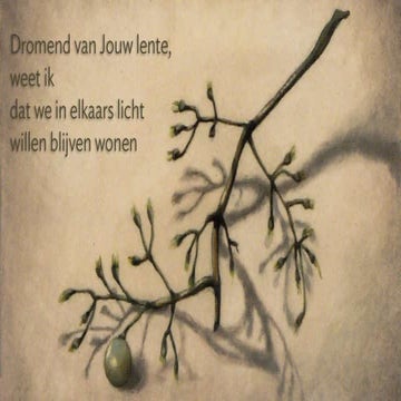 Het Rijk Gods is als een Mosterdboom (27ste zondag C)