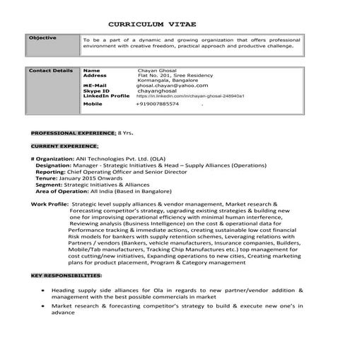 CV - CG-Manager - Strategic Initiatives & Head Alliances (Operations) - V1 | DOC