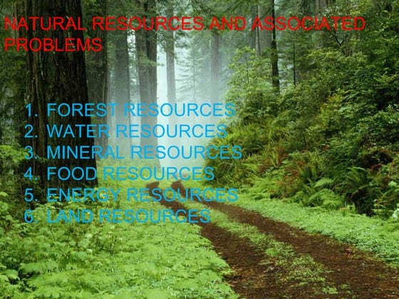 Forest resource | PPT