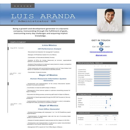Resume Luis Aranda | PDF