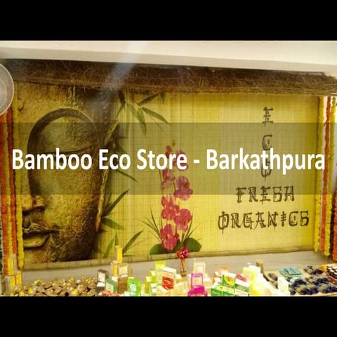 Bamboo Eco Store | PPTX