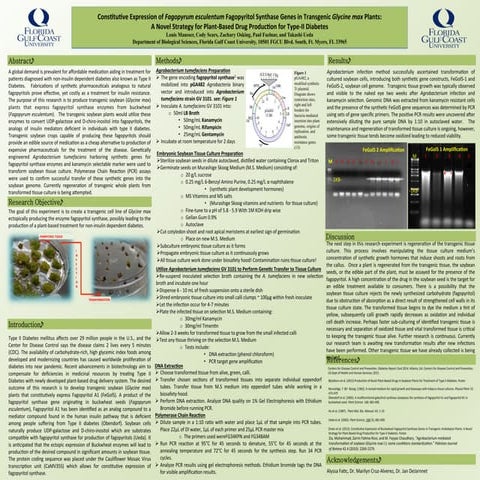 Therapeutic fc fusion proteins and peptides as successful alternatives ...