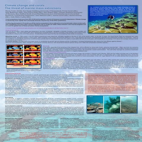 Commotion in the Ocean | PPTX