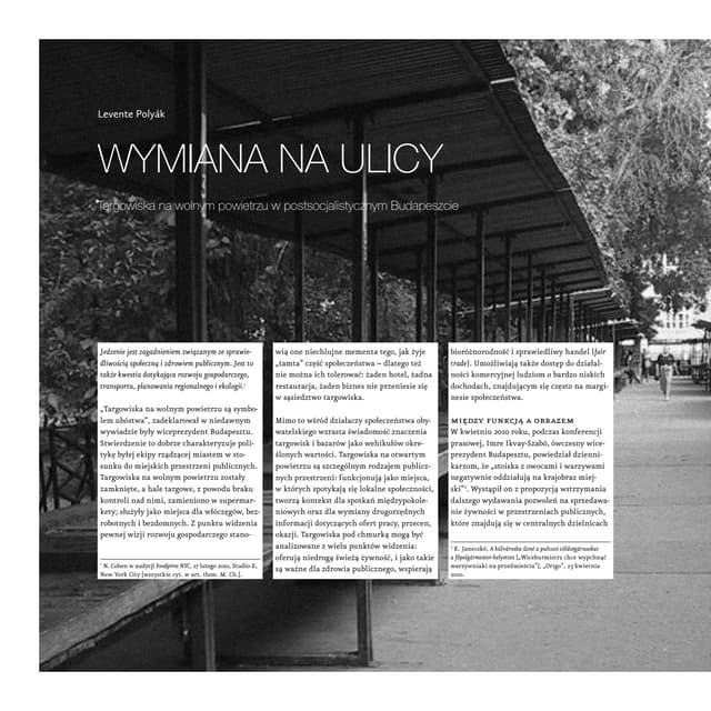Levente Polyák - Wymiana na ulicy | PDF