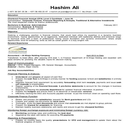 CV Hashim Ali | DOCX