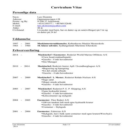 CV - Lars november 2014 | PDF