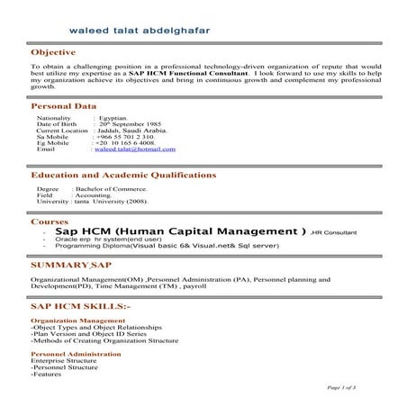 CV'_ waleed - | PDF