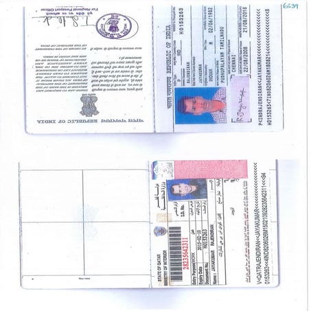 Visa copy | PDF
