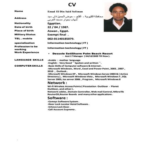 CV Emad El Din | PDF