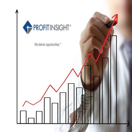 PROFIT INSIGHT | PPT