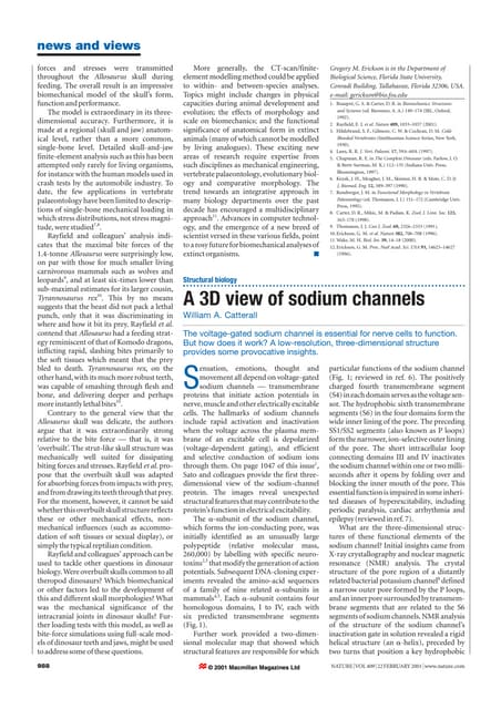 anatomiclandmarks-150504191319-conversion-gate01.pdf