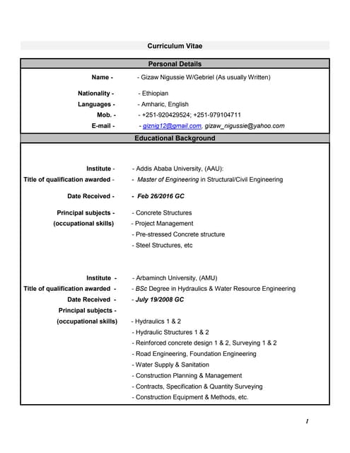 CURRICULEM VITAE | PDF | Programming Languages | Computing