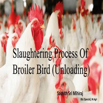 Processing of poultry | PPT