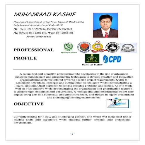 Kashif Niazi CV.3(1) | PDF