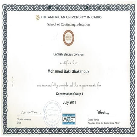 The American University in Cairo Certificate.PDF