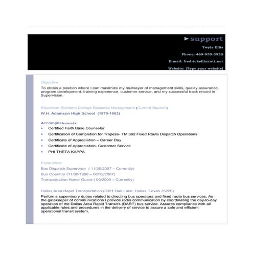 Davids CV internet | DOC