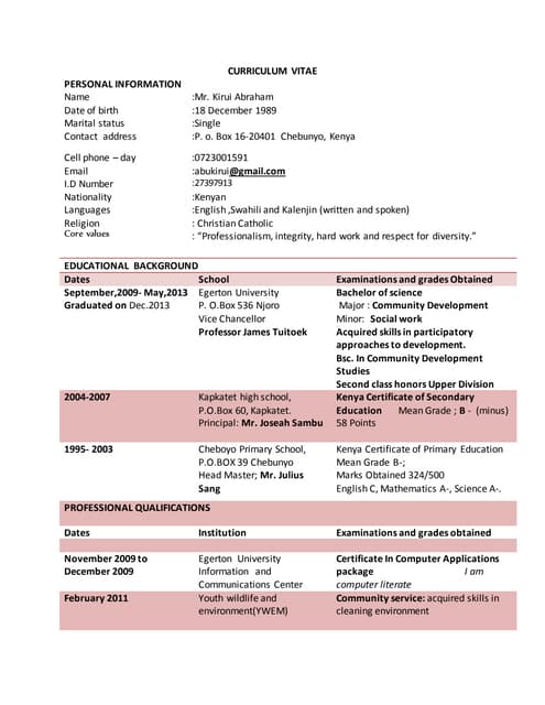 CYNTHIA MUDENYO CV UPDATE | PDF