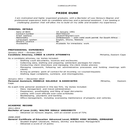 Pride Dube - CV (1) | DOCX