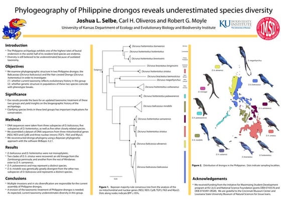 Summer NSF Poster - Hydraphile | PPT