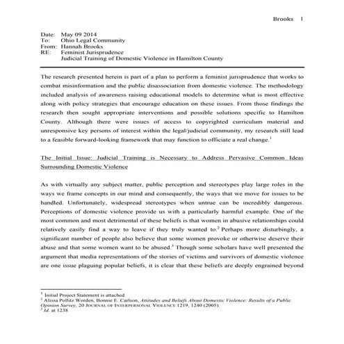 Hamilton County Domestic Violence Research Write UP | PDF