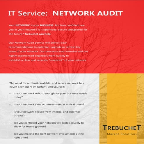 Network Audit | PDF