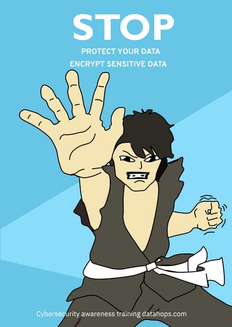 E A4 Data Security GDPR Posters-Data Protection part1FRE | PDF