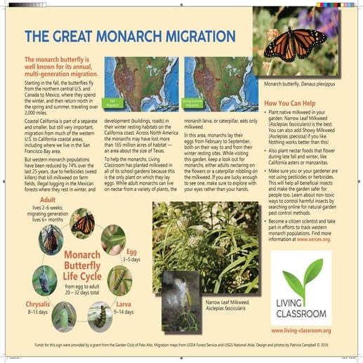 monarchs | PDF