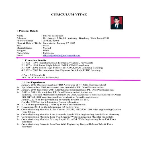 CV pikpik to jobs | PDF