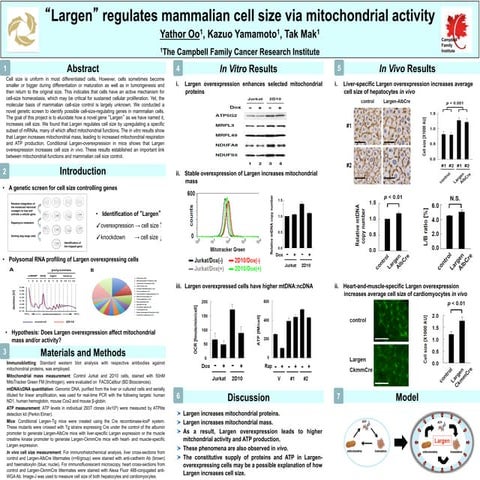 Largen poster presenation 120809 final ver | PDF