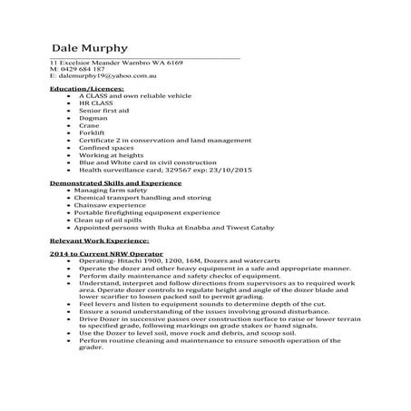 Dale Murphy Resume | PDF | Woodworking | Arts and Crafts