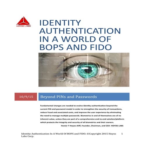 Identiy Authentication White Paper | PDF