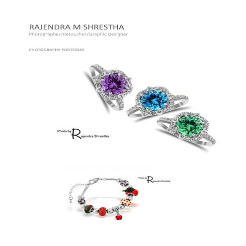 RAJENDRA M SHRESTHA (Portfolio) | PDF