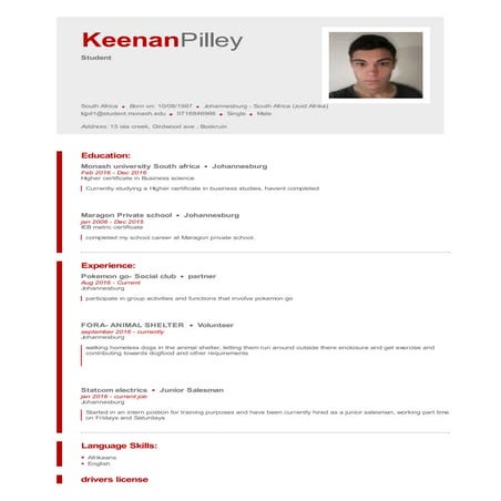 CurriculumVitae | PDF