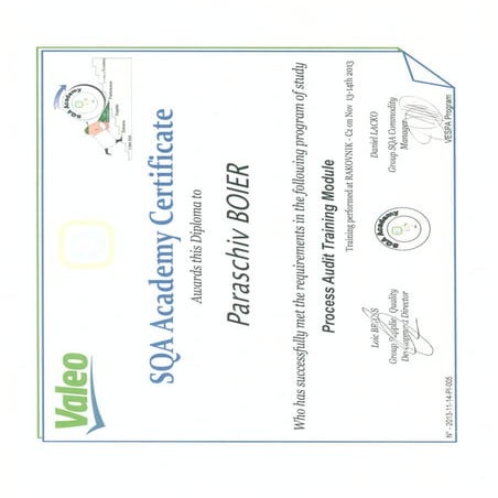 Valeo Process Auditor diploma | PDF