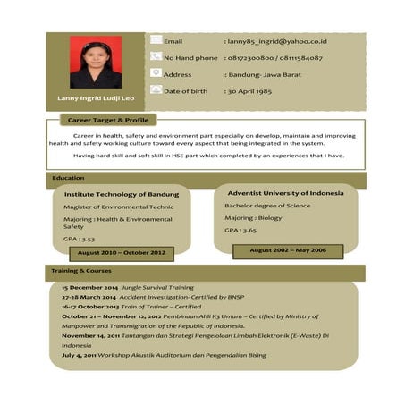 Curriculum Vitae | PDF