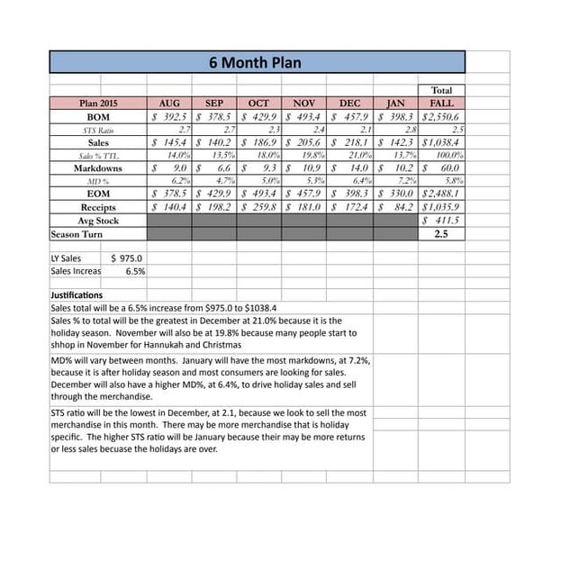 Fashion Buying- 6 Month Plan | PDF