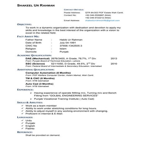 Shakeel Cv | PDF