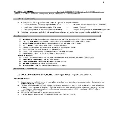 Profile_Alok | PDF